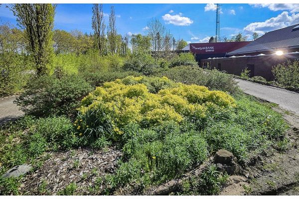 GISK har brug for dig: Lyst til at gøre en forskel??